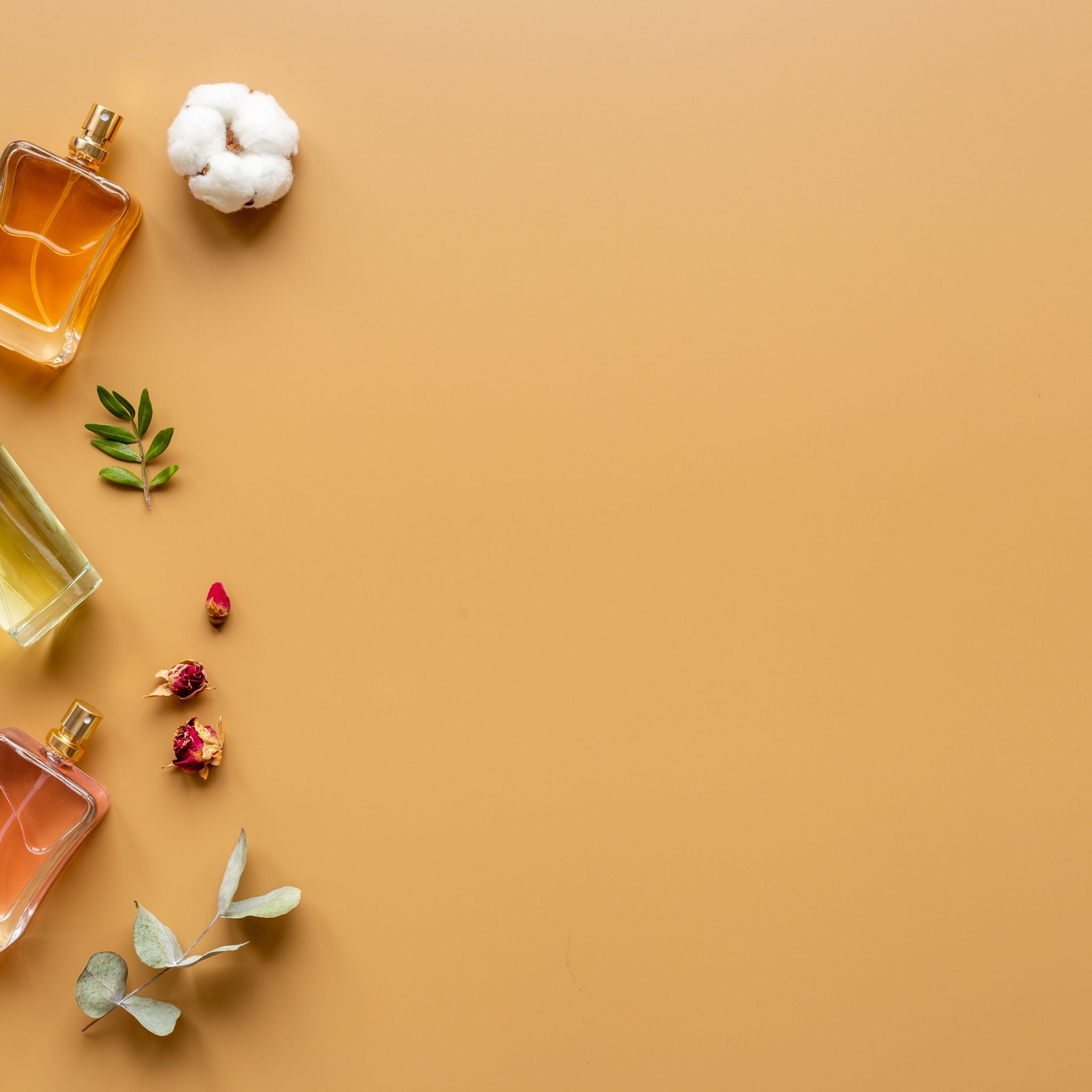 Explore Perfume Paradise with Our Free Fragrance Samples and Discovery ...