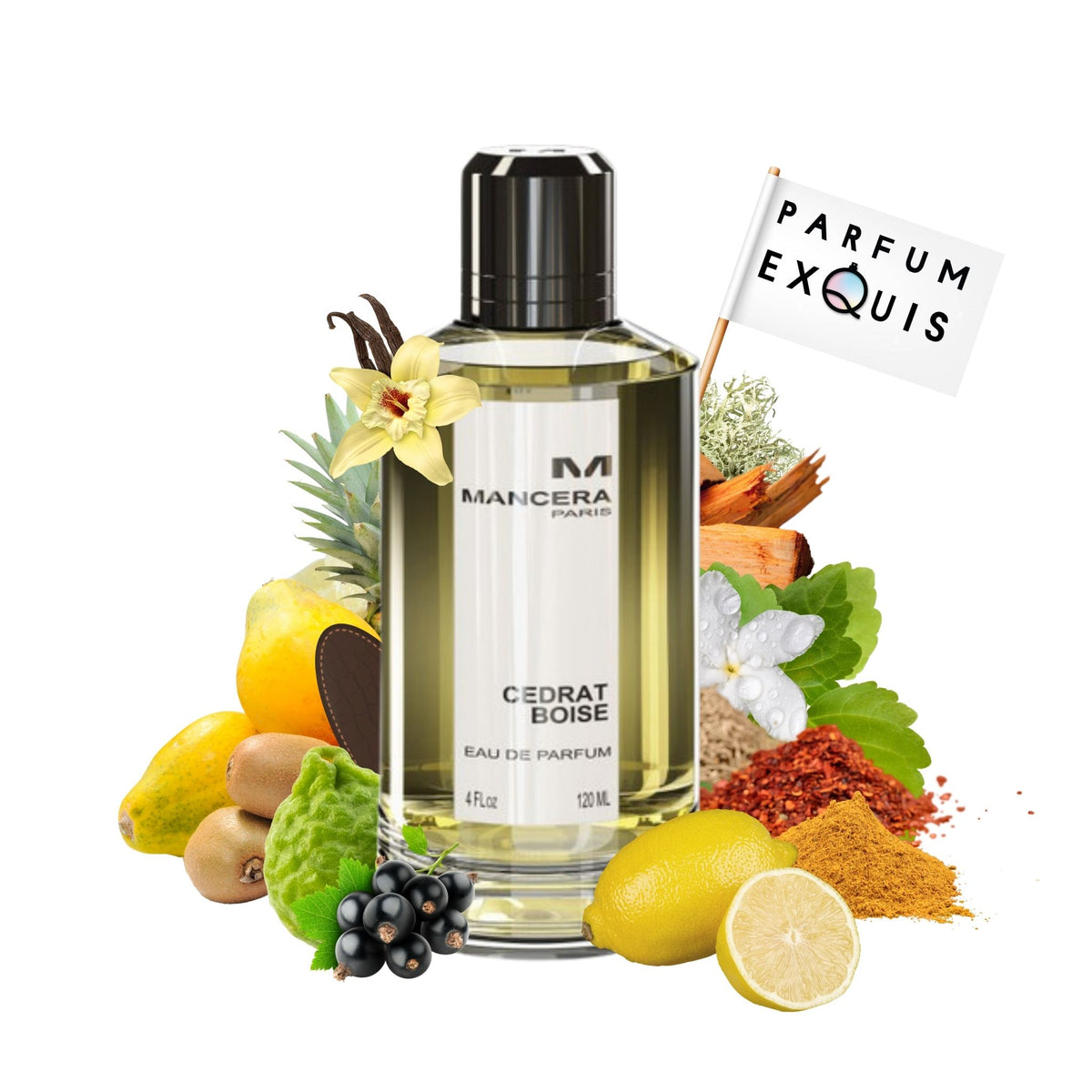 Amore Caffe | Mancera | parfumexquis