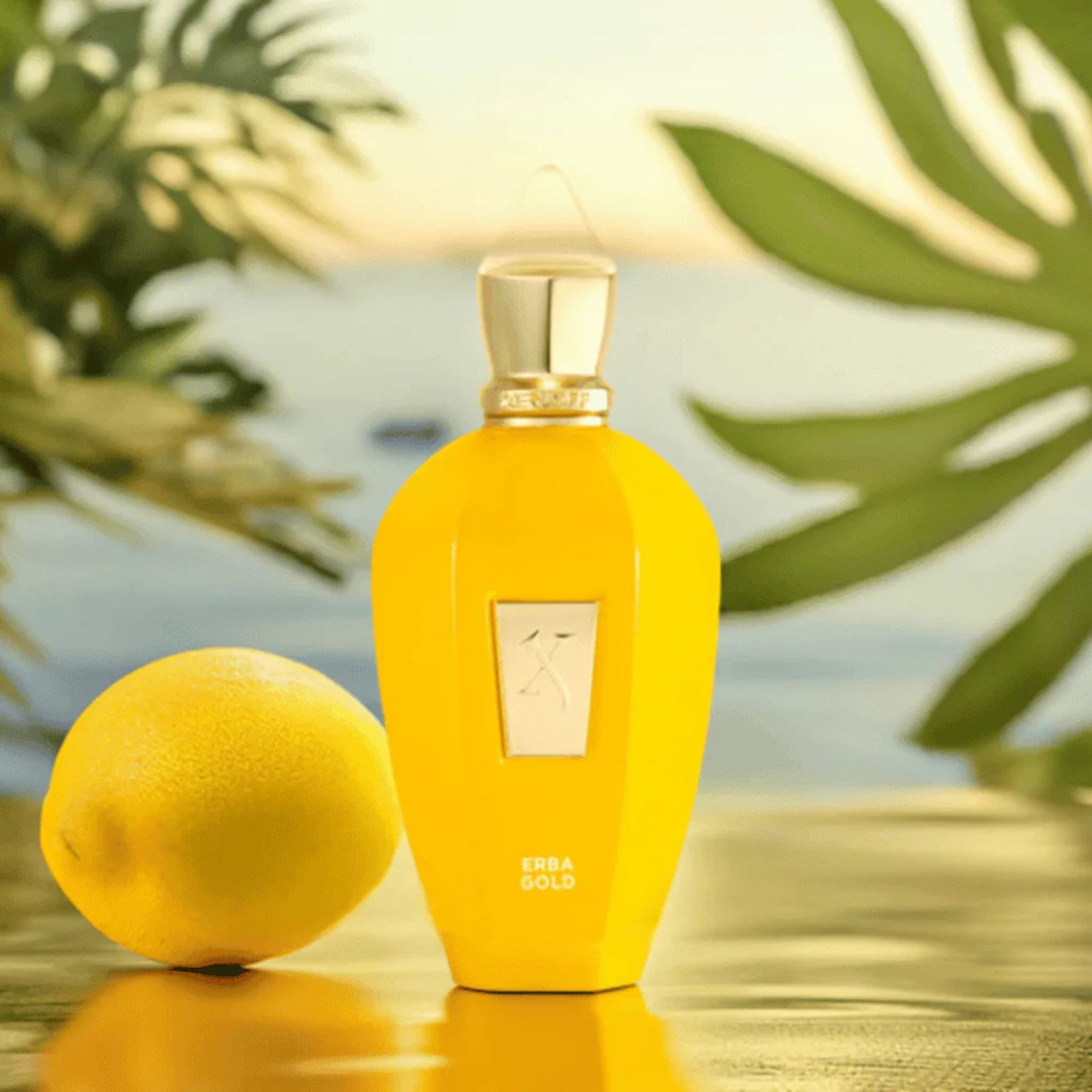 Erba Gold | Xerjoff | parfumexquis