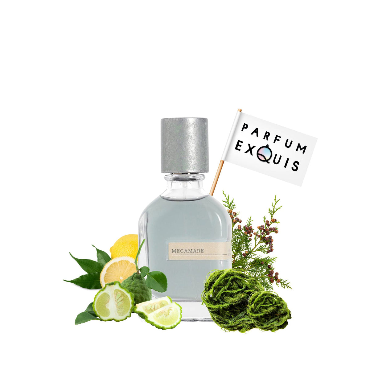 Megamare | Orto Parisi | parfumexquis